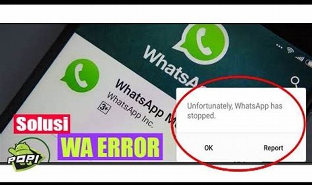 Cara Mengatasi Whatsapp Error | investigasi.id